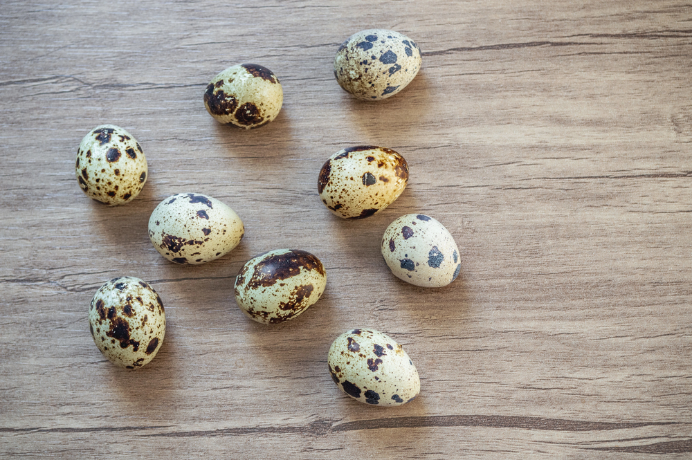 Cura cu ouă de prepeliță: contraindicații și riscuri pe care trebuie să ...